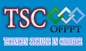 Examen de fin de formation 2013 TSC Synthèse 2